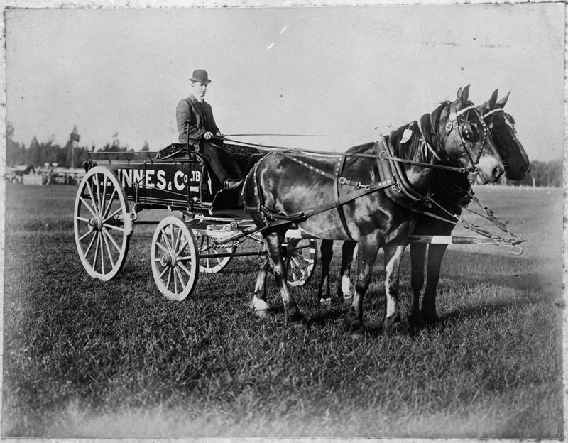 Old-time carts carry the weight - Number 8 Network