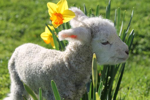 Spring is sprung! – Number 8 Network