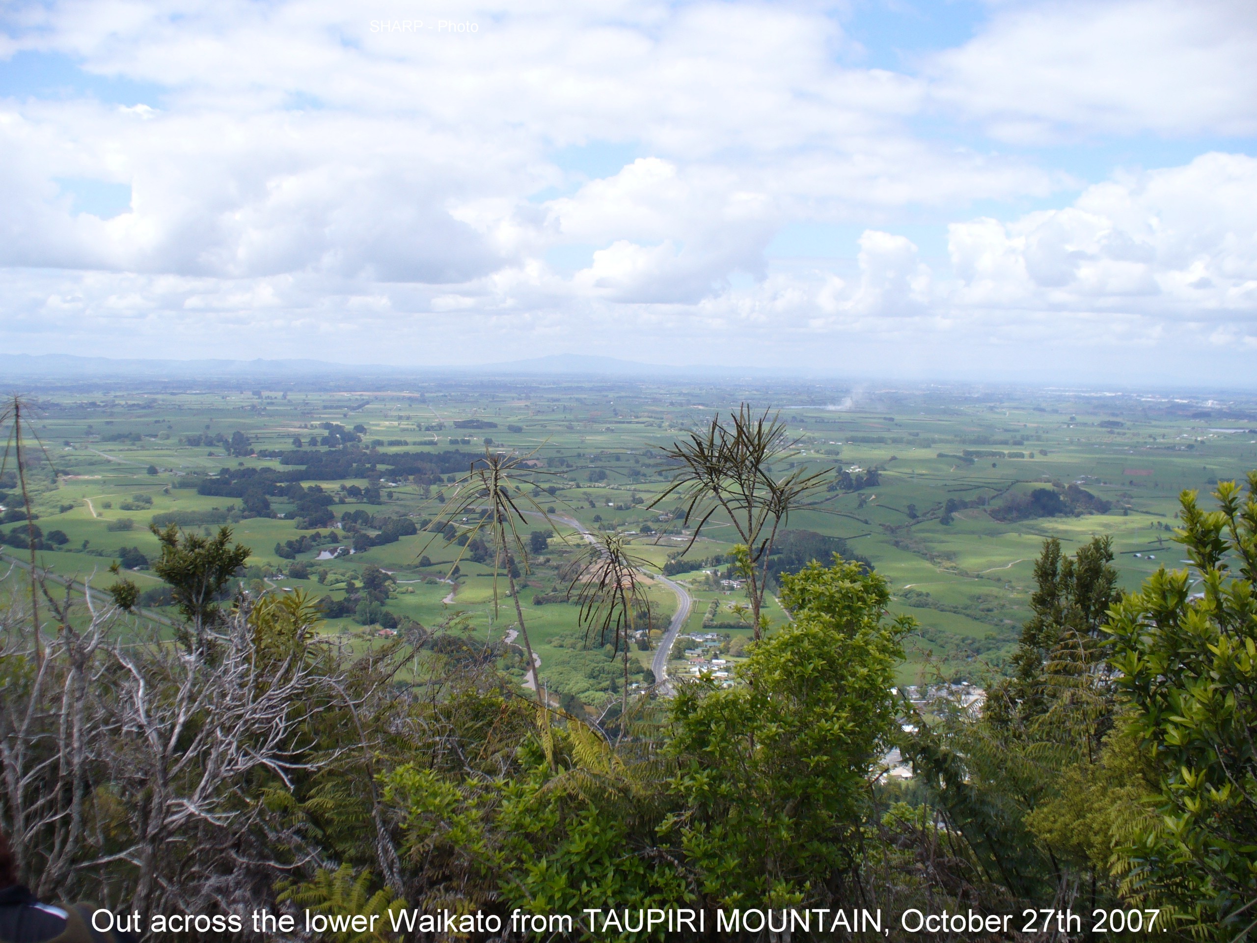 Taupiri South – Number 8 Network