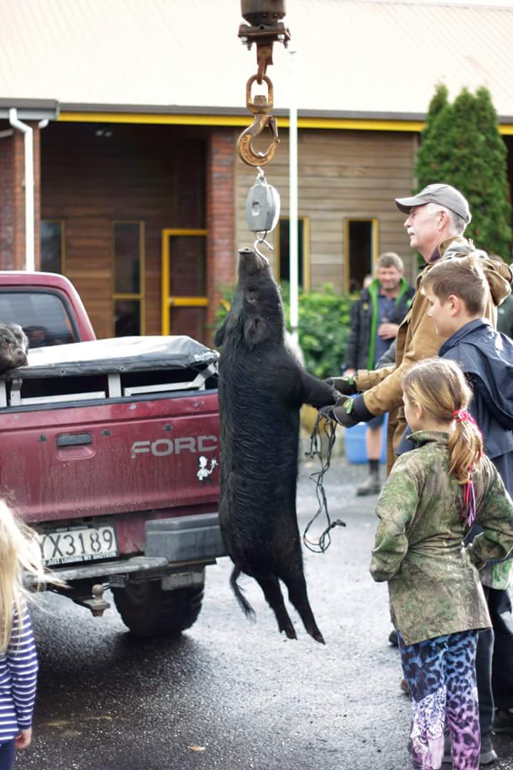 Wild hunt – Number 8 Network