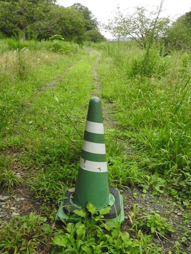 Cone – Number 8 Network