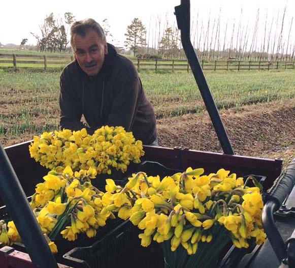 Ian Riddell – Number 8 Network